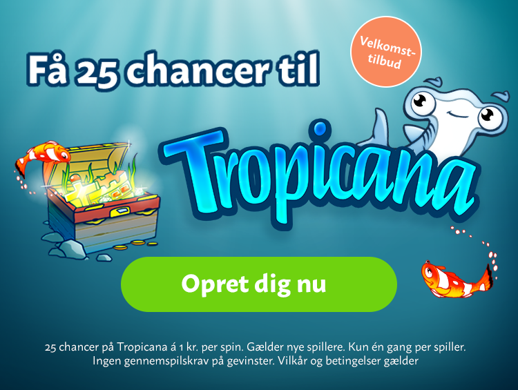 Online Bingo og Banko | Spil med hos Hele Danmarks Bingoside