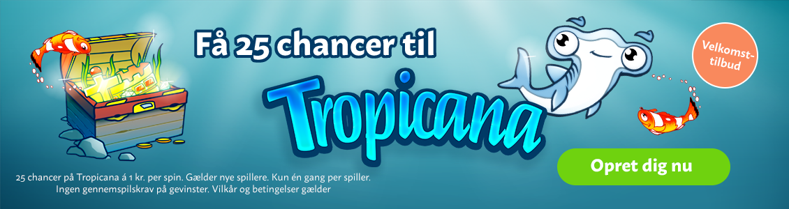 Online Bingo og Banko | Spil med hos Hele Danmarks Bingoside